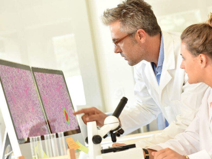 Ibex deploys AI system for digital pathology cancer diagnosis - Medical ...