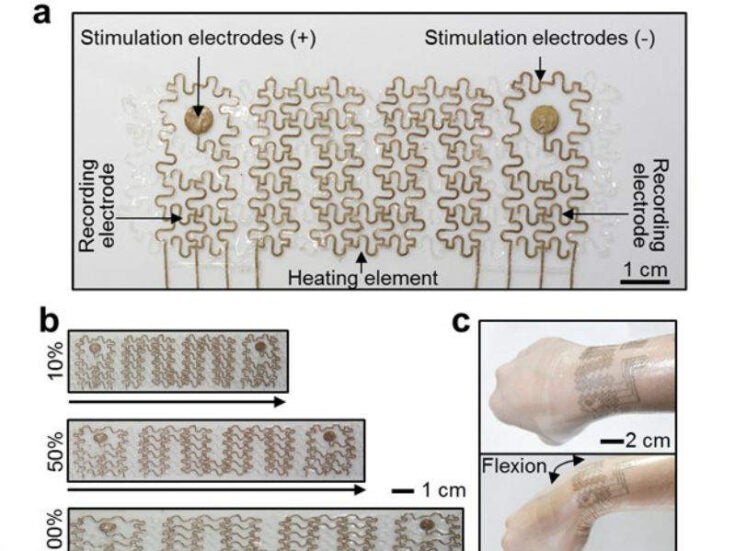 New wearable device measures electrophysiological signals