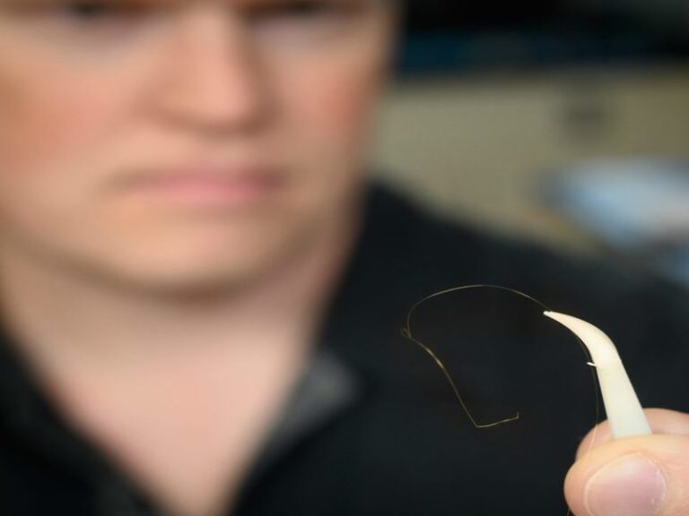 CSU researchers develop new sensor to detect viral infections