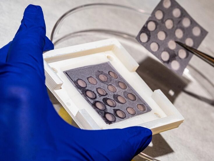 Paper heart valves help scientists study calcifying diseases