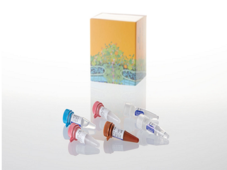 CDC’s Covid-19 diagnostic panel to use Promega’s amplification reagent