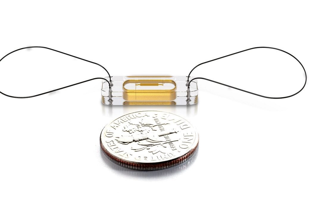 Abbott's CardioMEMS HF System, US