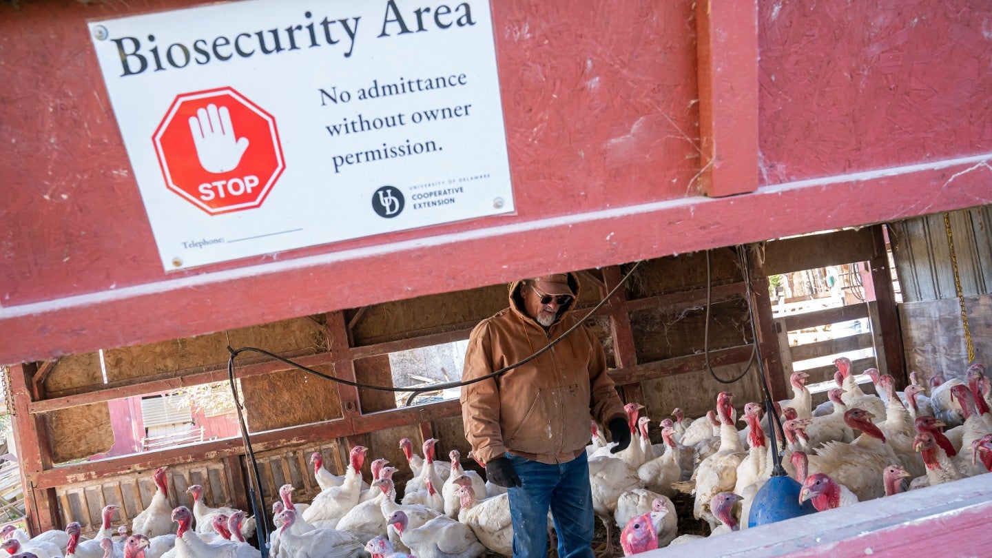 Does H5N1 avian influenza have pandemic potential? - Medical Device Network