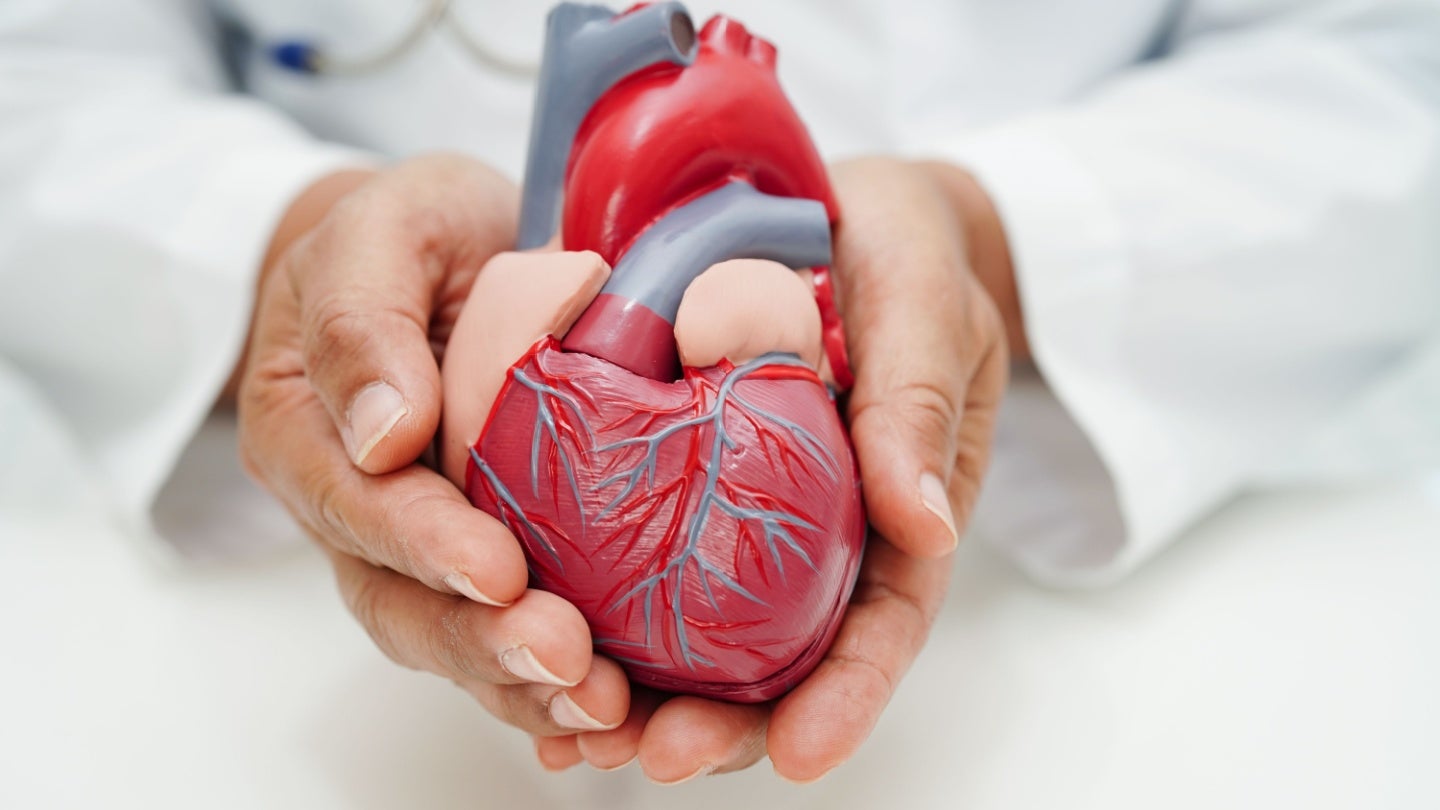 Abbott's Amplatzer Amulet shows promise in atrial fibrillation trial