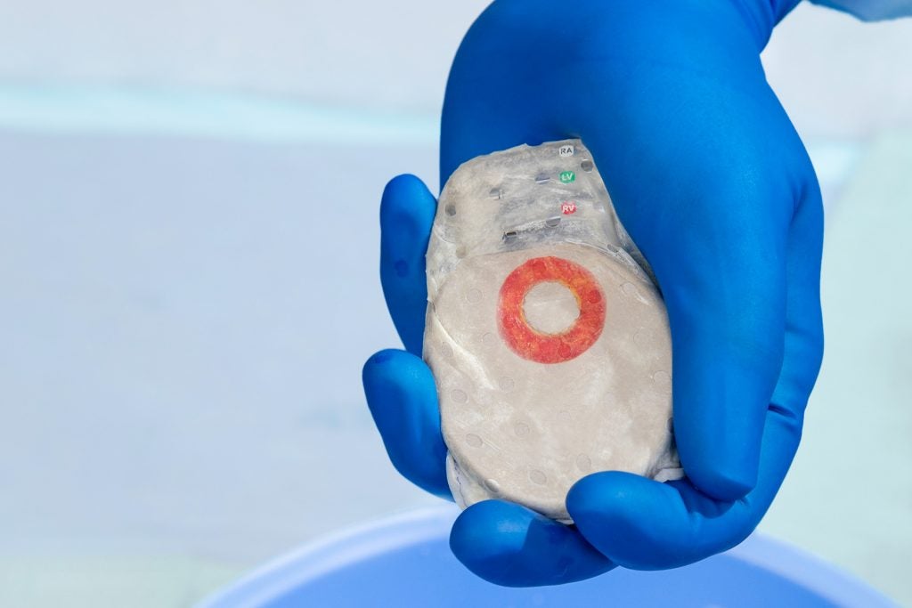 Medical Device Network Excellence Awards 2025: Elutia - Medical Device ...