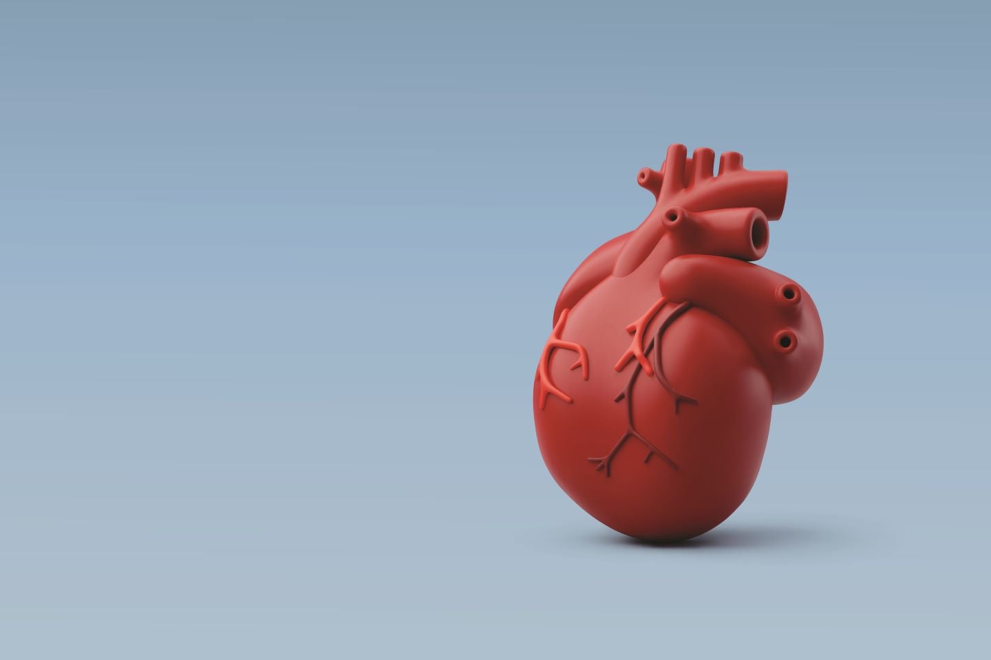 Caranx Medical’s AI TAVI-TAVR software gains FDA approval - Medical ...