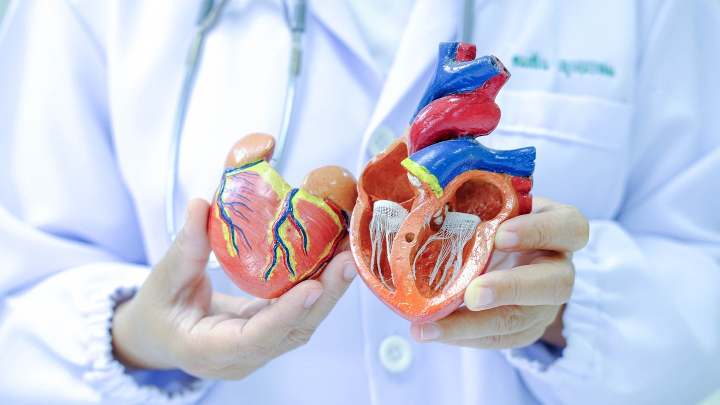 Foldax introduces TRIA mitral valve in India