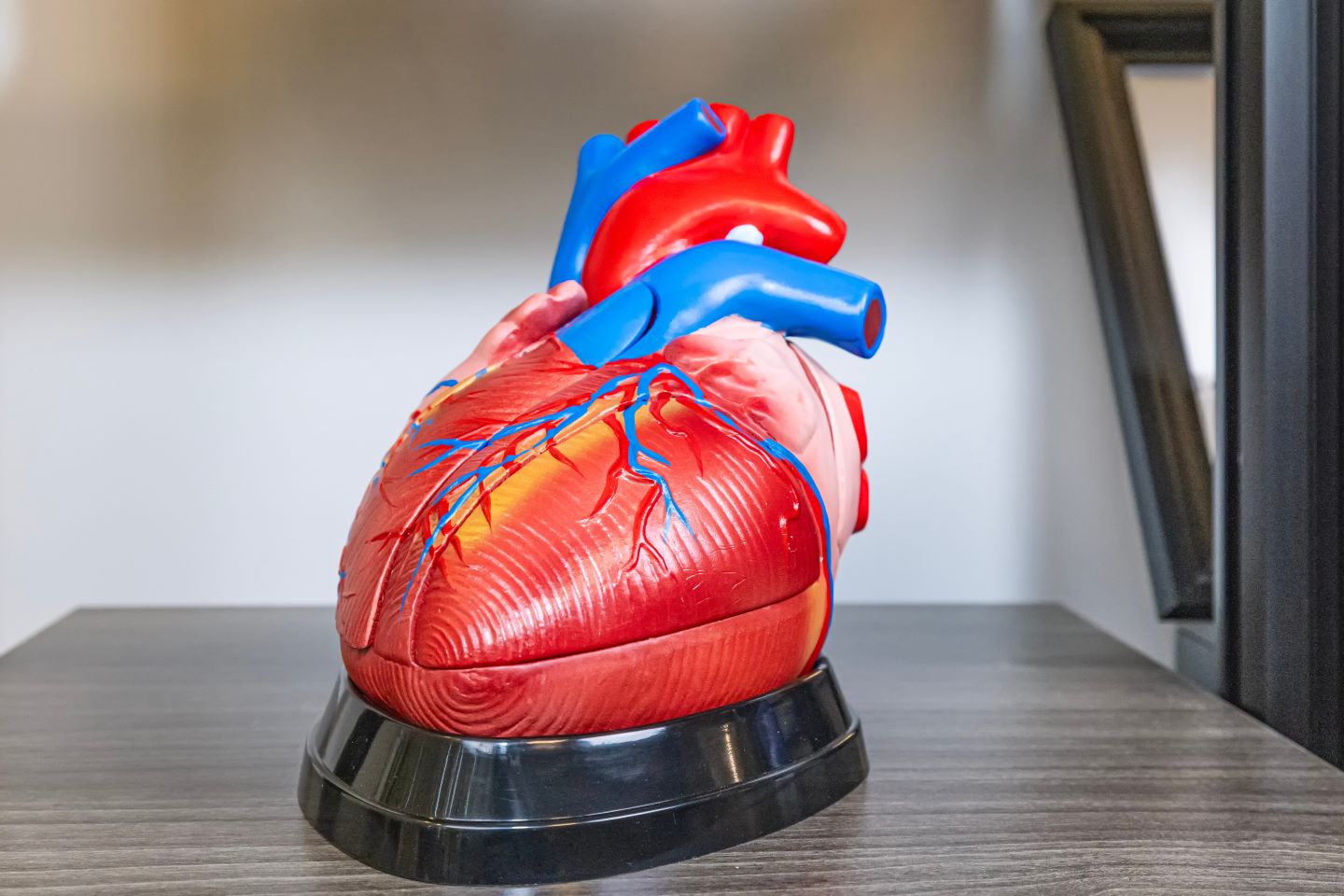 Edwards solidifies TAVR dominance in long-term trial readout - Medical ...